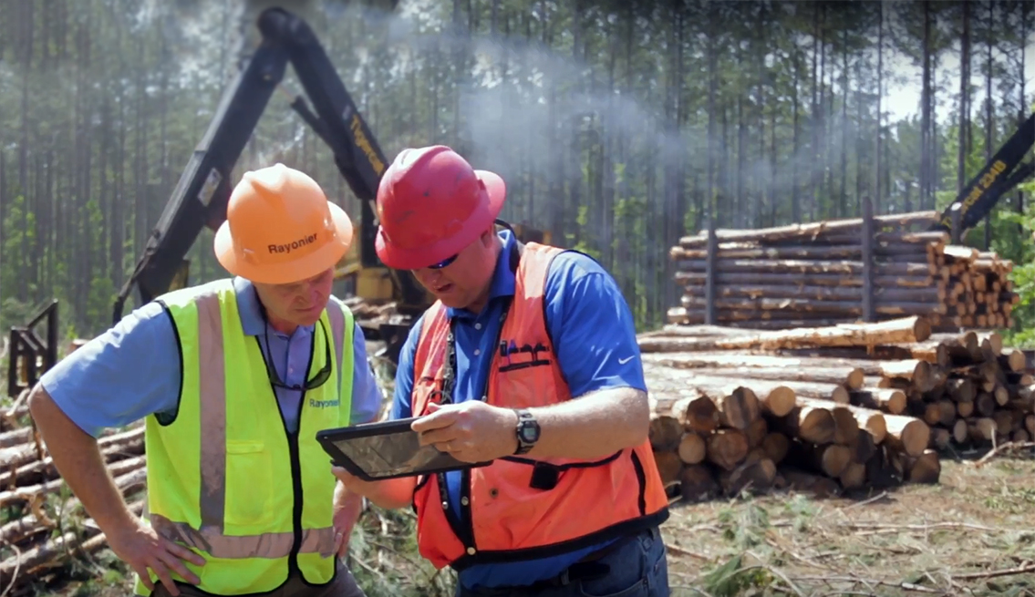 IT Manager Innovates Rayonier’s Land Management Software