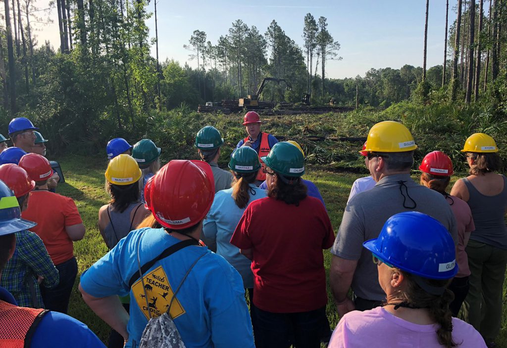 Teaching the Teachers About Sustainable Forestry | Rayonier Stories