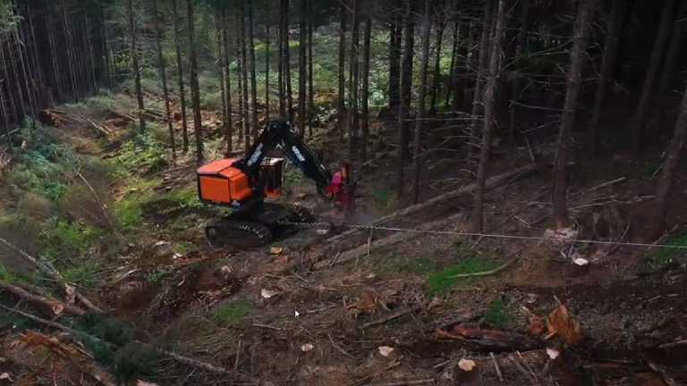 Winch-Assisted Logging Boosts Safety on Steep Terrain | Rayonier Stories