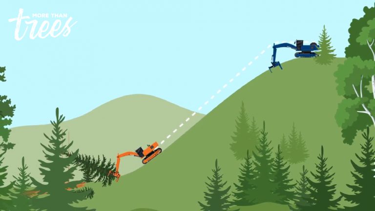 Winch-Assisted Logging Boosts Safety on Steep Terrain | Rayonier Stories