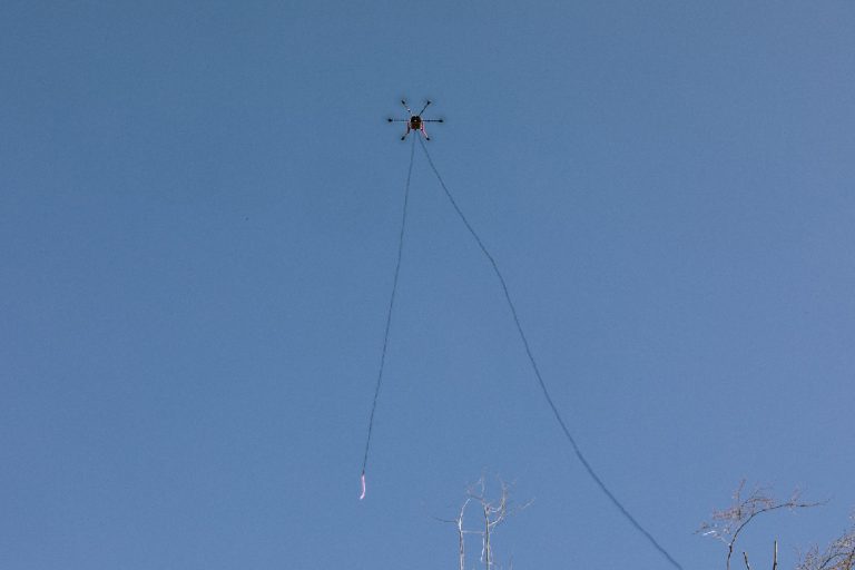 What is Tower Logging and How Does it Work? | Rayonier