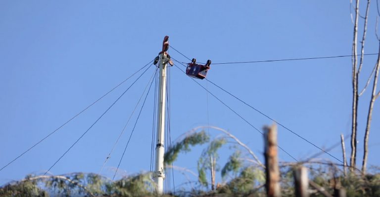 What is Tower Logging and How Does it Work? | Rayonier