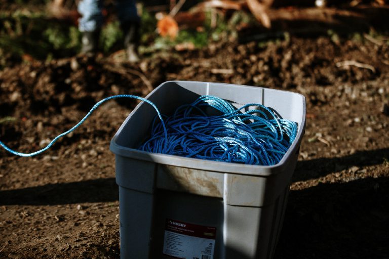 What is Tower Logging and How Does it Work? | Rayonier