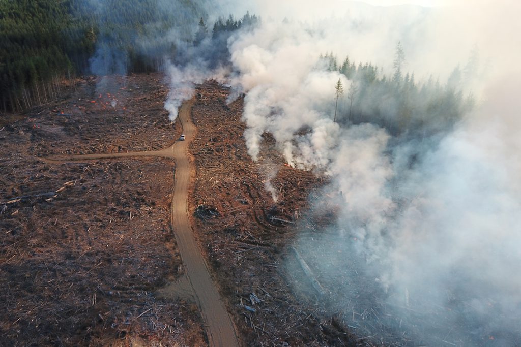 Wildfire Prevention in Sustainable Forestry | Rayonier Stories