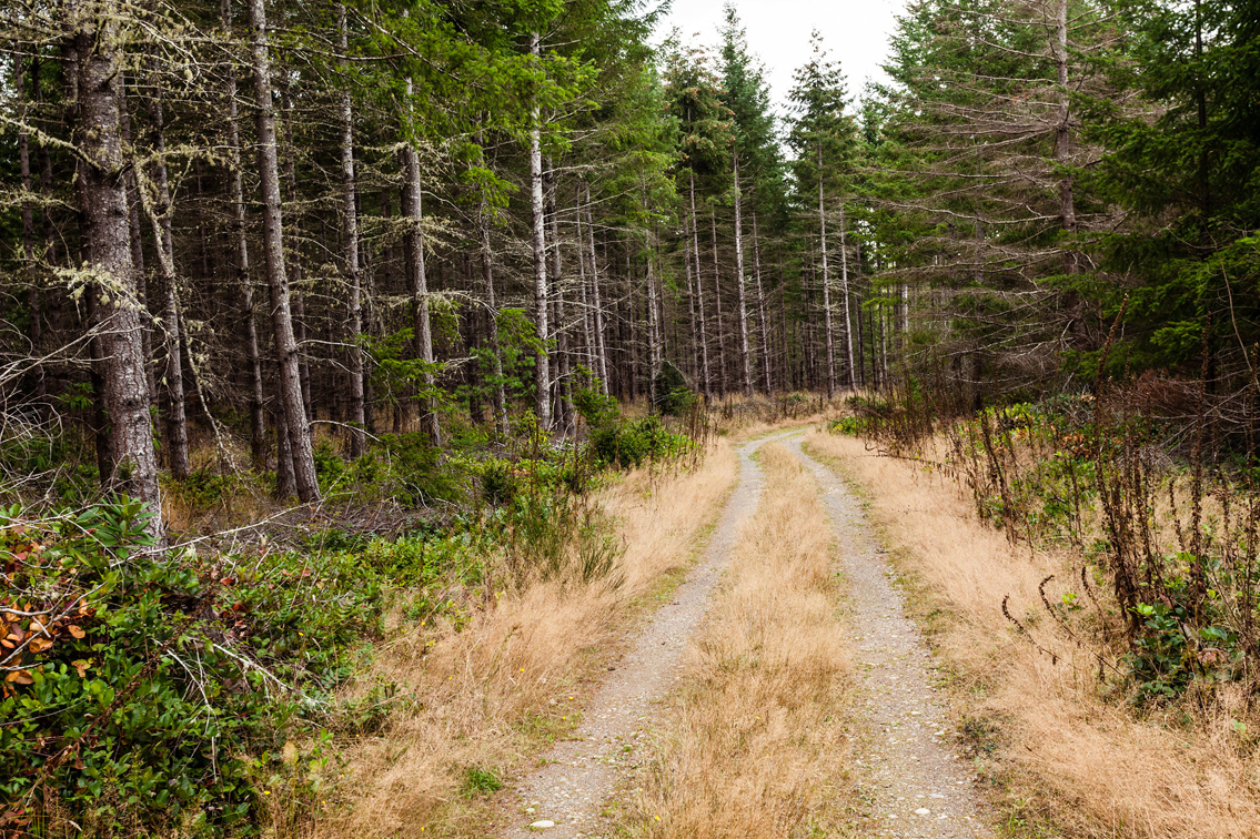 How Forest Management Helps Protect Firefighters | Rayonier Stories