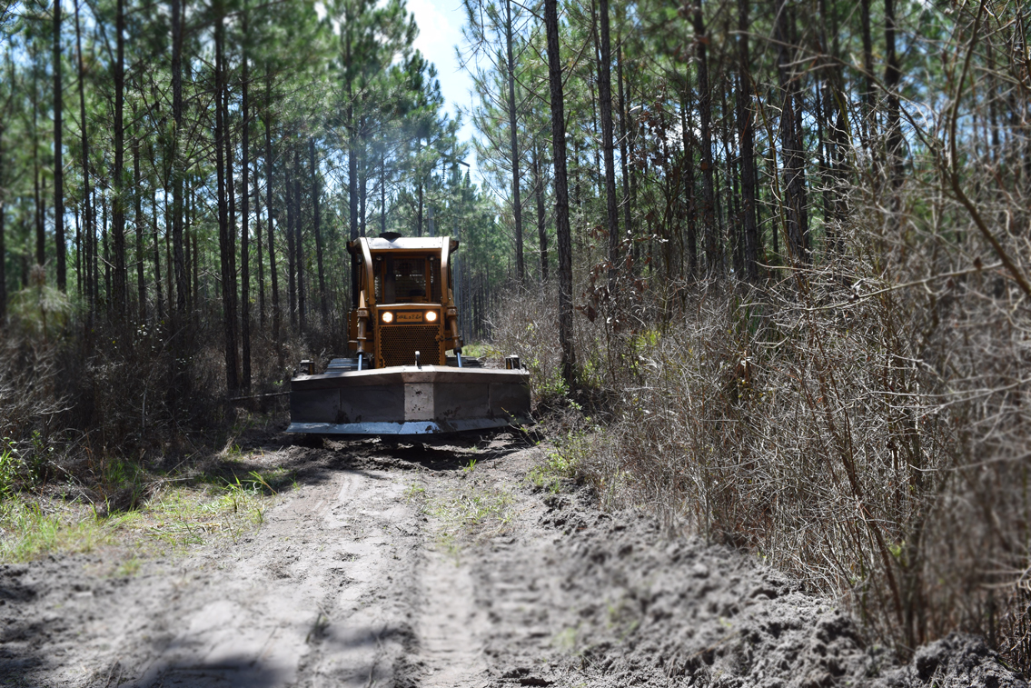 Wildfire Prevention in Sustainable Forestry | Rayonier Stories