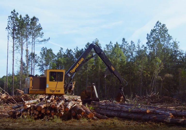 What Happens During a Timber Harvest? | Rayonier Stories