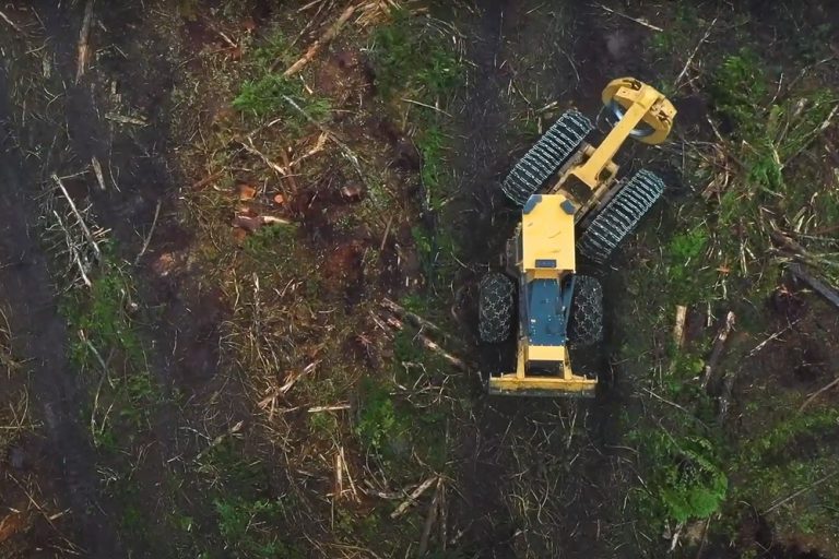 What does a logger do? | Rayonier Stories