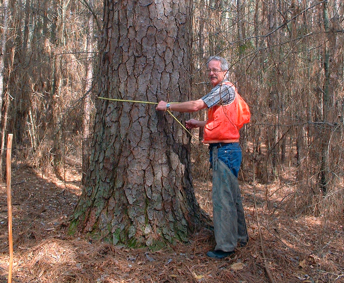 Half a Century of Forestry Experience | Rayonier Stories