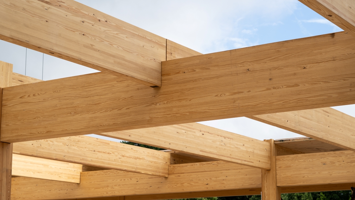 A Guide to Mass Timber Construction & the Benefits