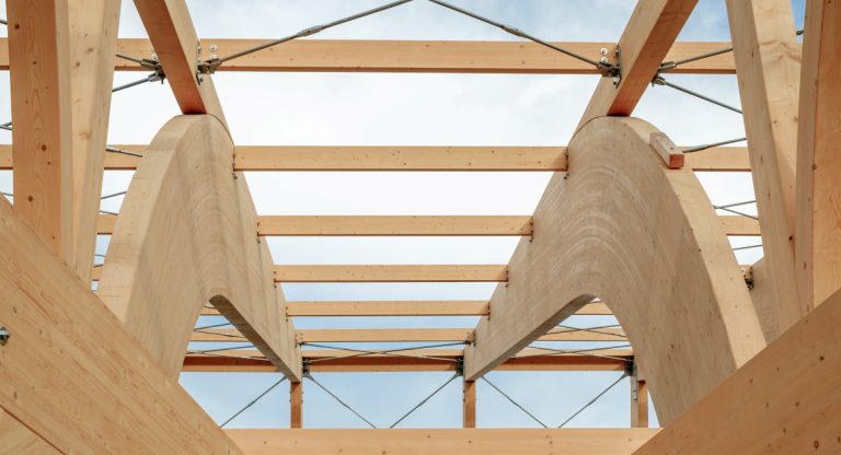 A Guide to Mass Timber Construction & the Benefits