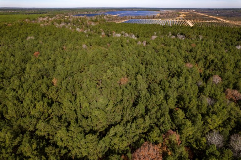 Solar Powers a Sustainable Energy Future on Rayonier Land